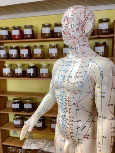 Les méridiens et les points d'acupuncture: existence prouvée par la ...